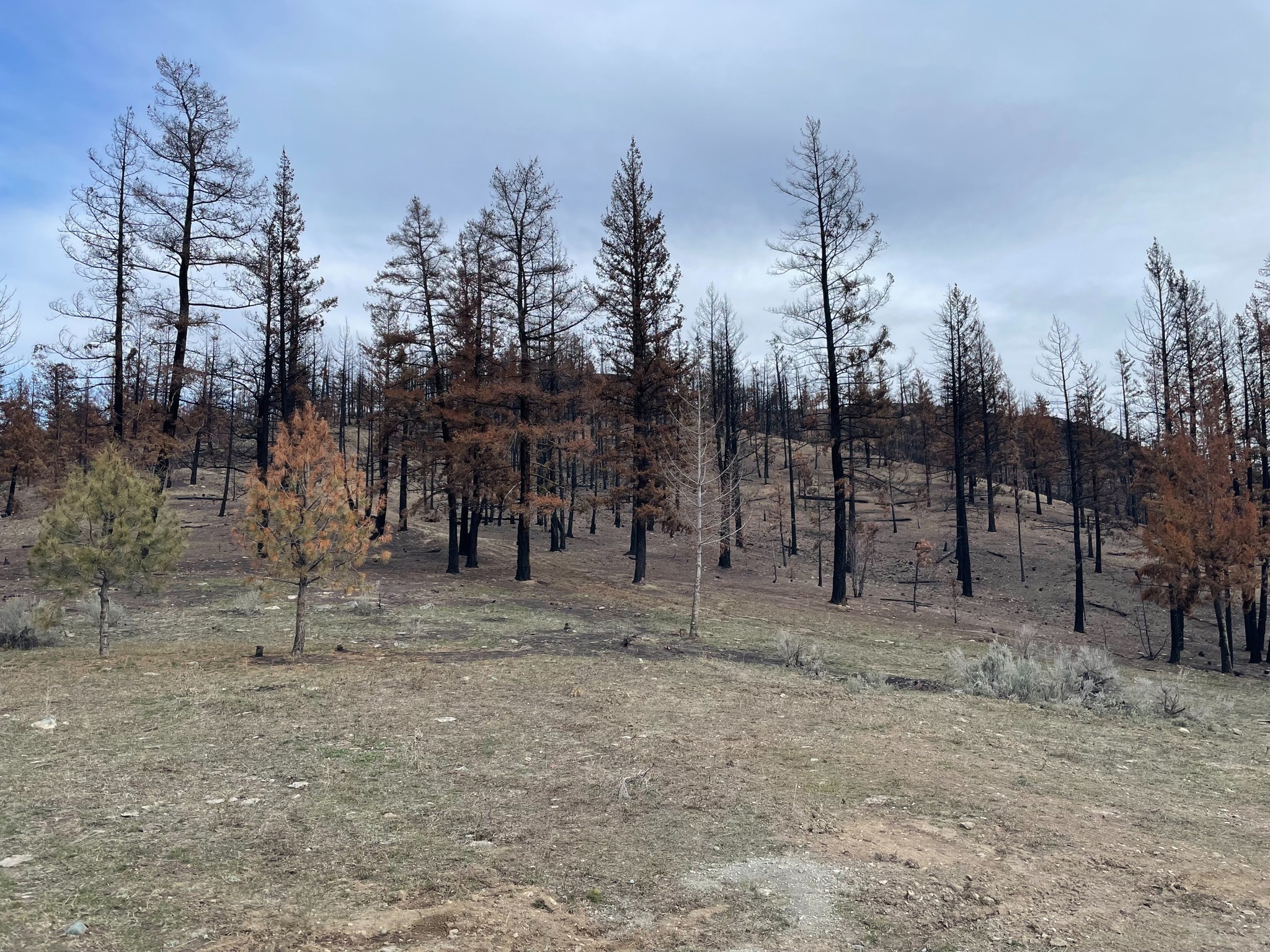 Notice: Post-Wildfire Hazard Assessment Meeting for Venables Valley and ...