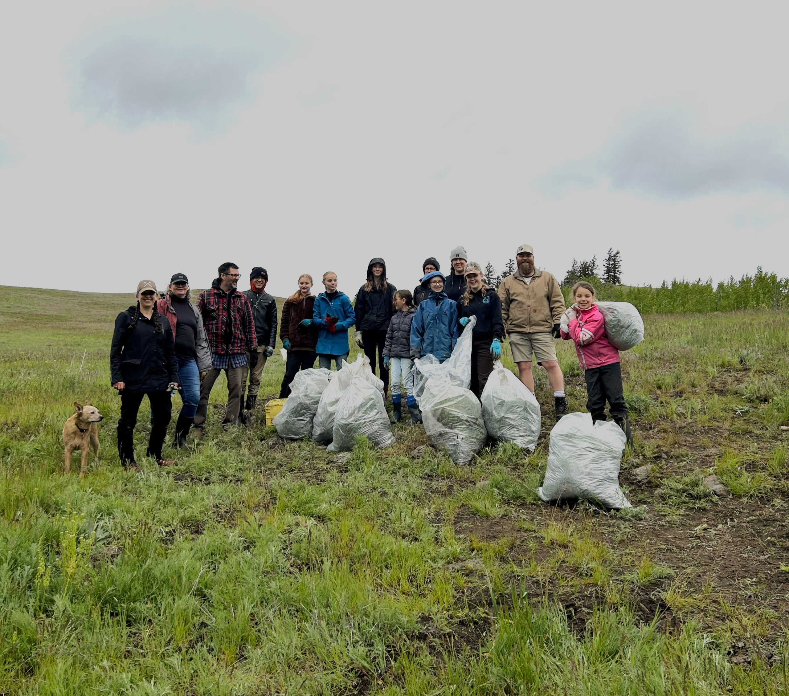 Community Weed Pull Program - Thompson-Nicola Regional District